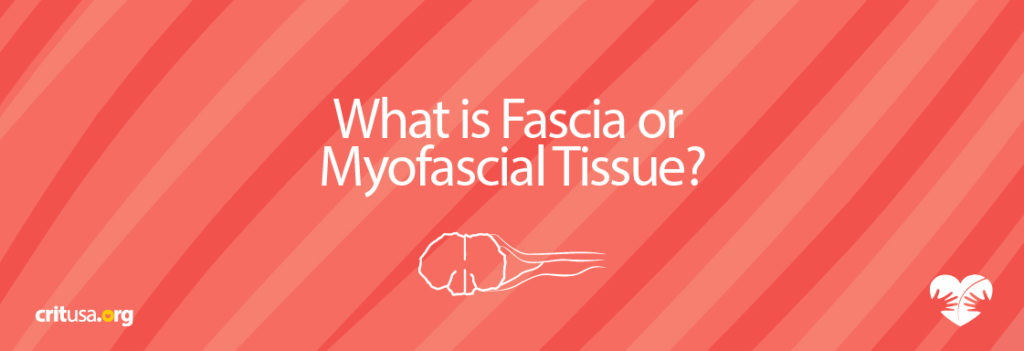 What is Fascia or Myofascial Tissue? - Children's Rehabilitation ...